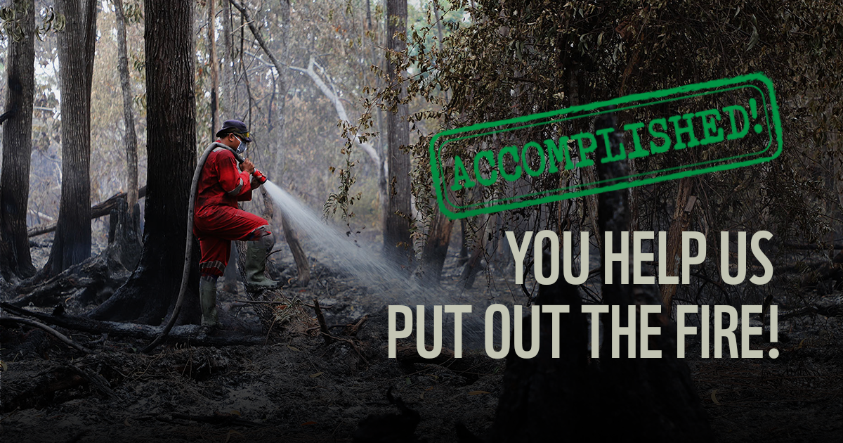 You Helped Us Put Out This Forest Fire in Sumatra